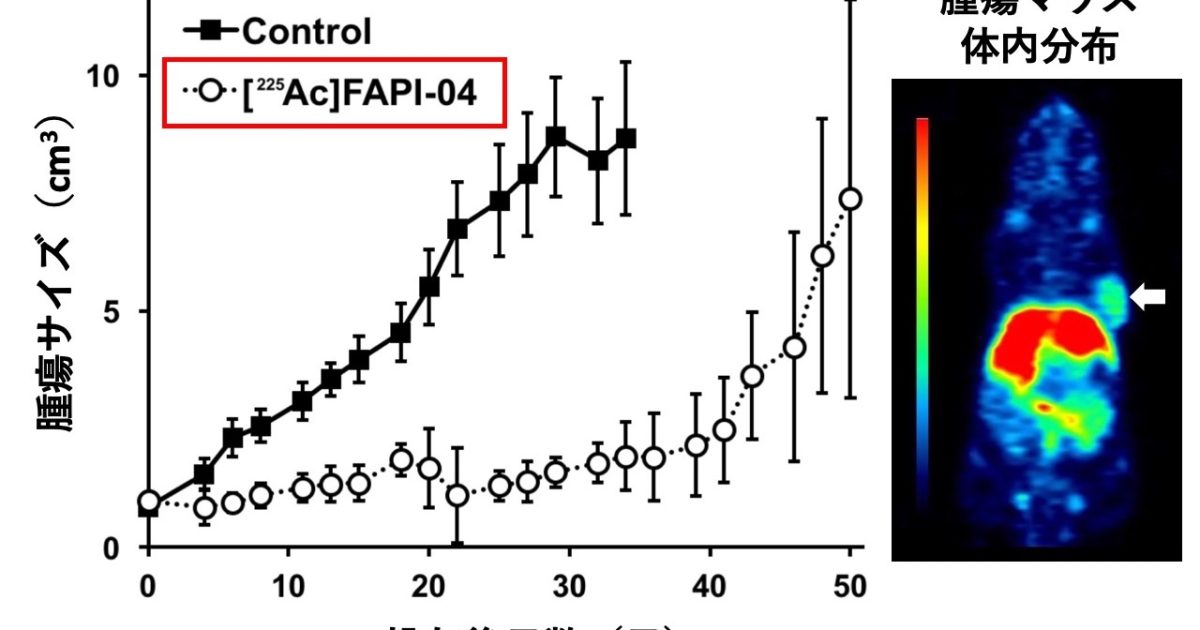 がん間質をターゲットにした新たな標的アルファ線治療 (Novel targeted alpha therapy against cancer ...